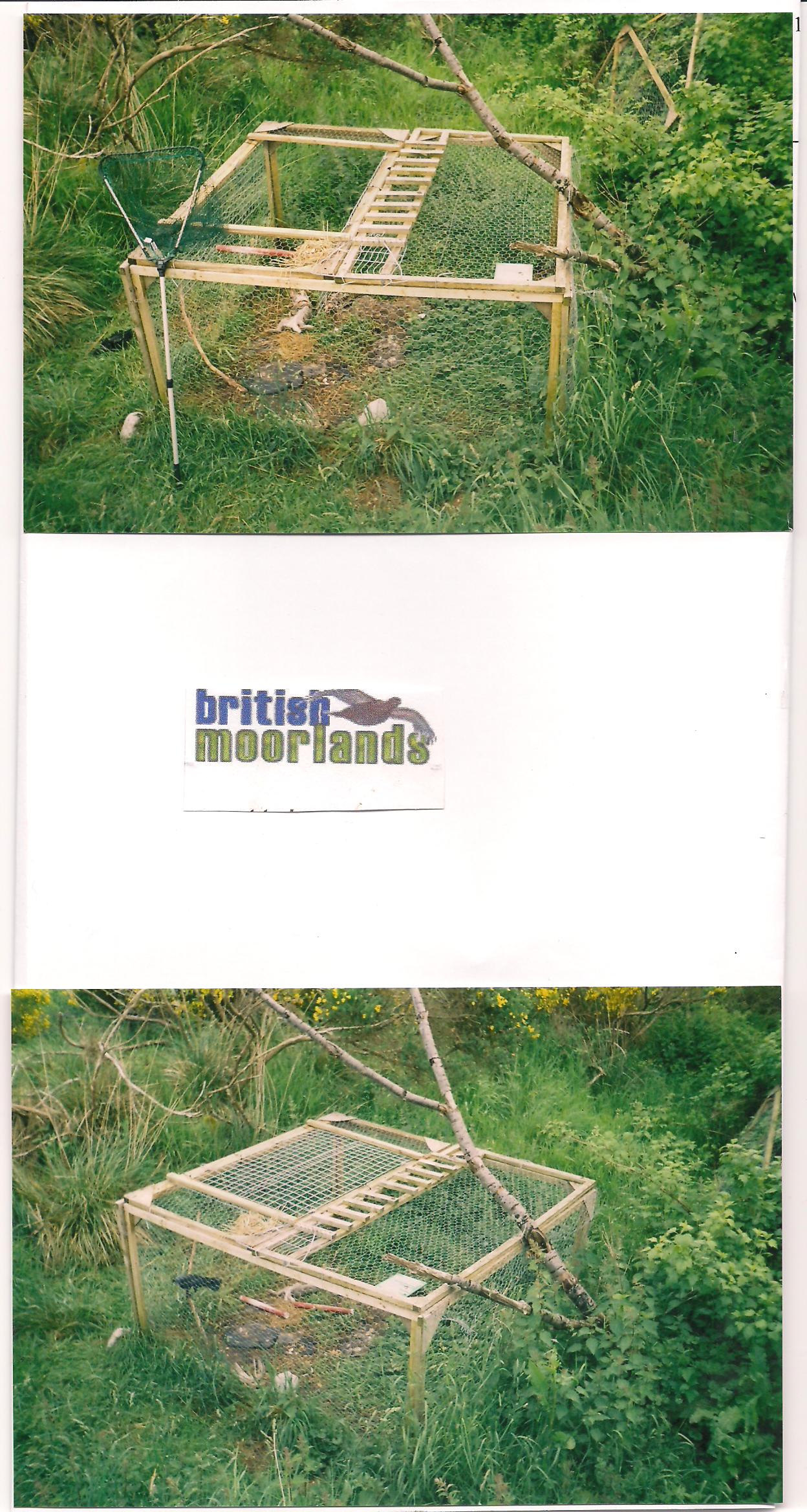 Corvid trap with a British Moorlands automatic trap checking system ...